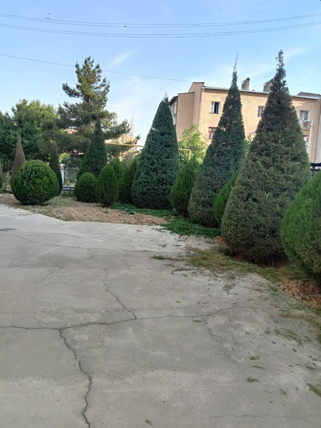 Archa qirqamiz ,  dorilash , lanshaft  , va boshqa xizmatlar bor .