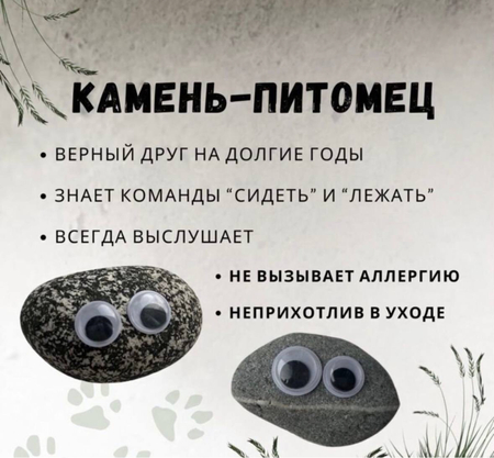 Камень питомец