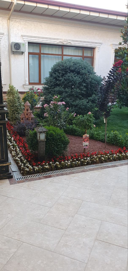 gazon va landshaf