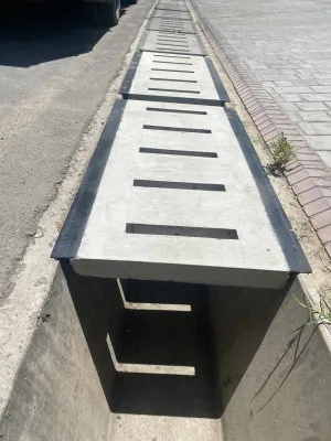 Latok va kalodislar