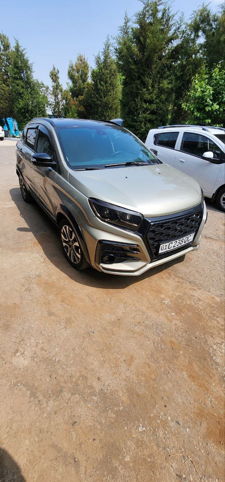 Lada xray cross.