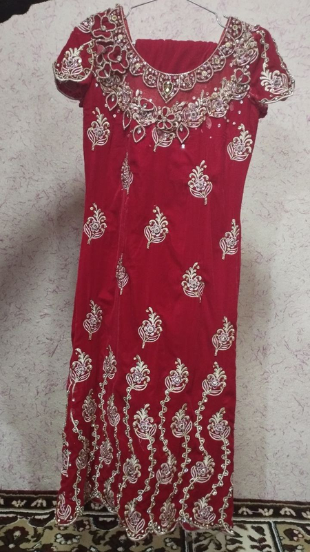 Ayollar koʻylagi