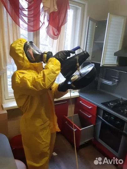 Dezinfeksiya diziznfeksiya dizenfeksiya klopa tarakan kalamush  ilon