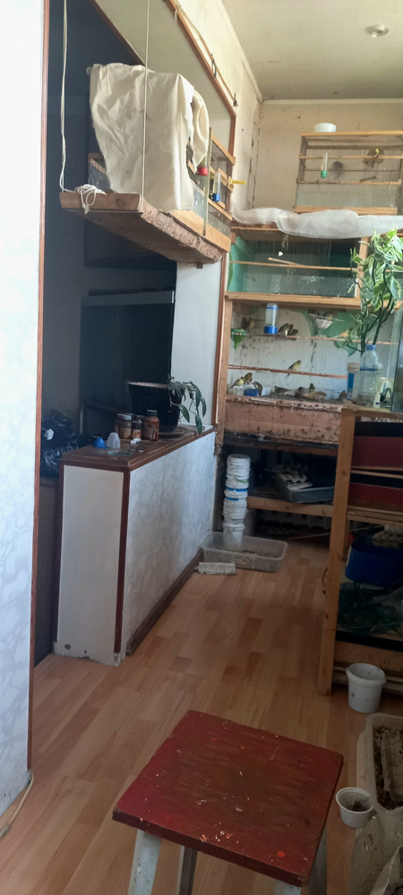 Продаётся квартира 2/4/4, Авиасозлар 2