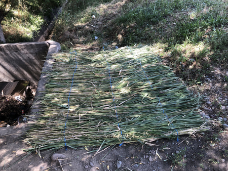 Qamish lombozga, zaborga bor