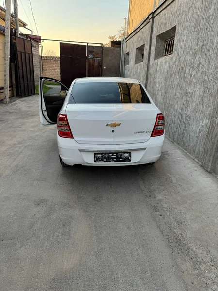 Cobalt 2024 full