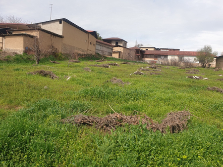 Toshkent viloyati Parkent shaxrida