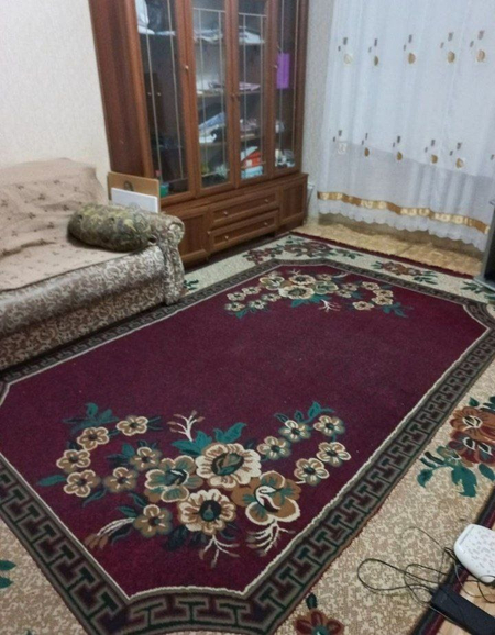 1/5/5чиланзар 6 продаётся
