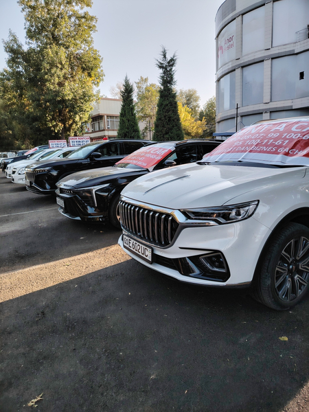 Avtoijara avtorentcar