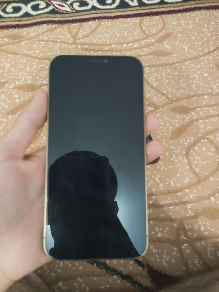 Iphone 12 por max