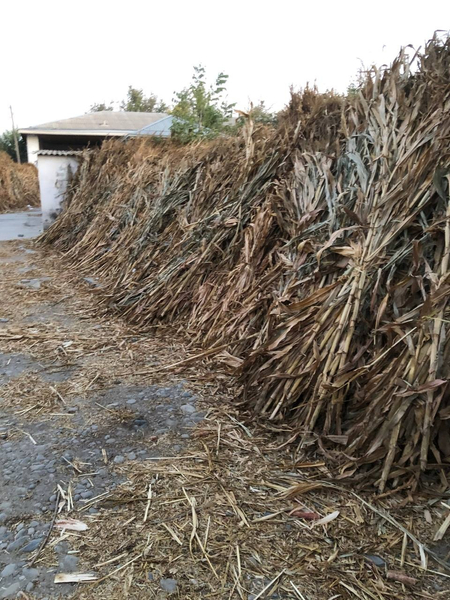 Барра маккажухори пояси сотилади зор