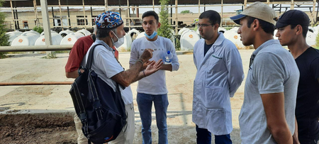 Malakali veterinar xizmati (UZI) ultratovush tekshiruvlari xam mavjud.
