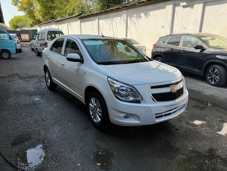 Cobalt 24/25 кобалт