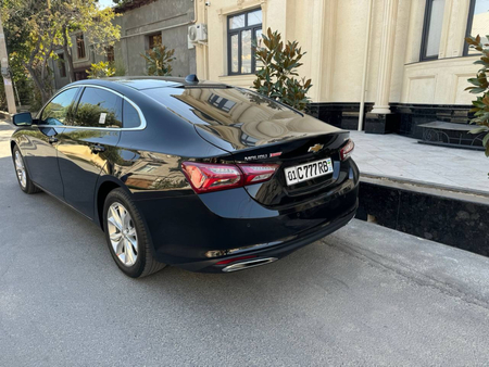 Malibu premier tozza