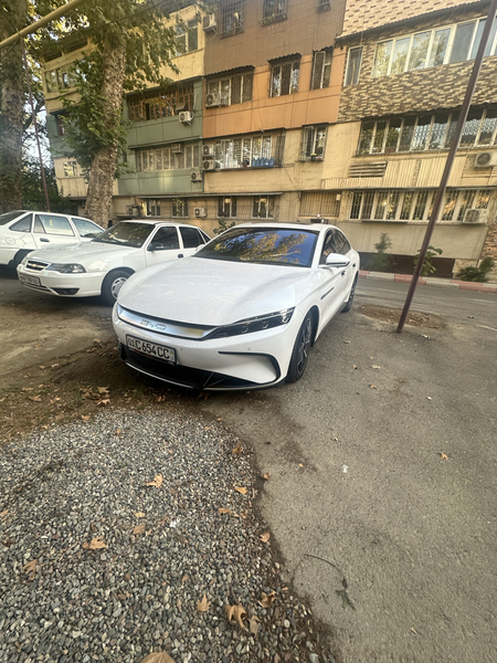 Byd Han 715 afitsalniy salondan olingan