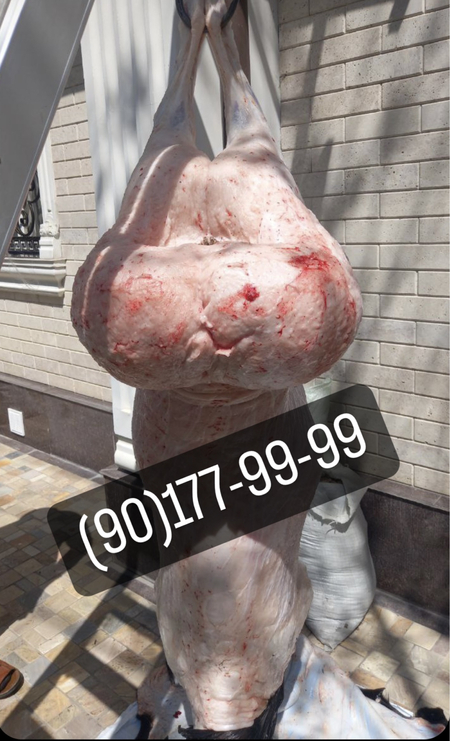 Живые бараны. Тирик қўйлар