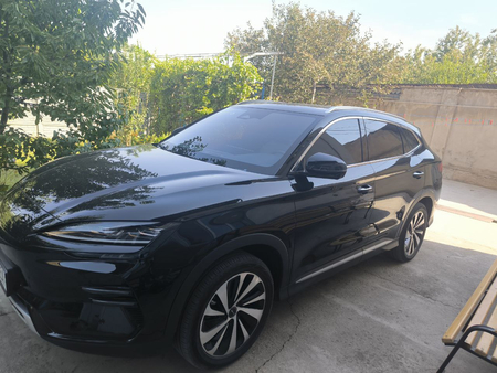 BYD чемпион 2023