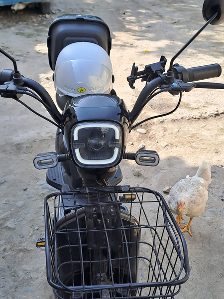 Elektra sukuter holati yaxshi