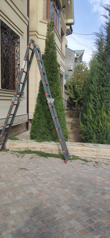 Archa kesib dorilab beramiz