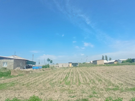 50 sotix hovli sotiladi