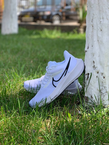 Nike Zoom pegasus 39