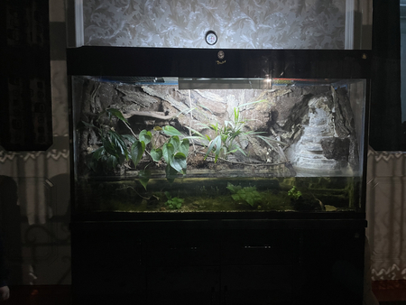 Akvarium terraryum