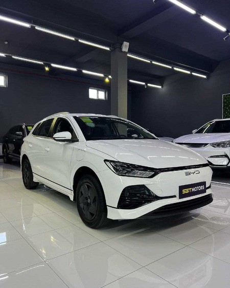 Arenda s vikupga BYD E2 2024 Yengi