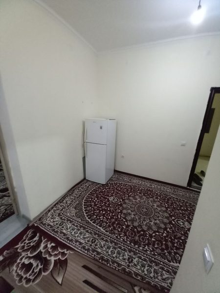 Motrid ijaraga beriladi