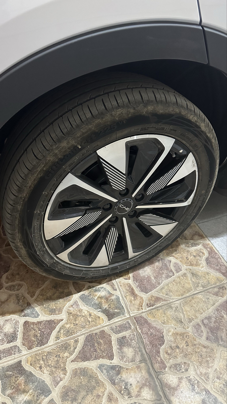 BYD CHEMPION 2025 new model