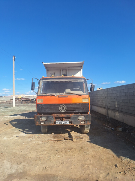 Dongfeng 2010 jil