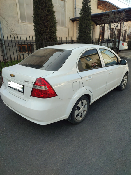 Nexia 3 Kraska Toza