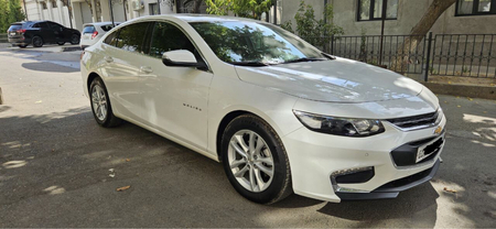 Arenda malibu 2.4