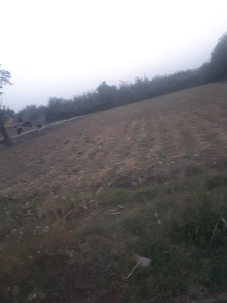 Кулай унимдор томарка сотилади