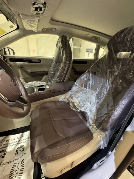 Leapmotor C11 Smart 510km 2024