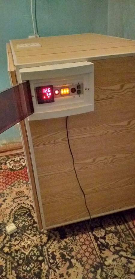 Инкубатор хизмати