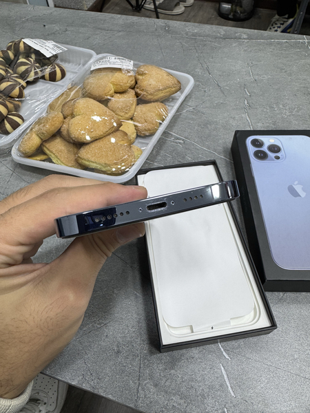 Iphone 13 pro max 256 gb srochno