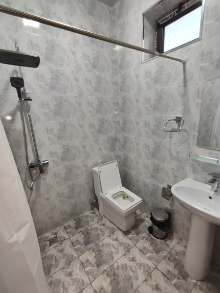 Dacha_bron  N830