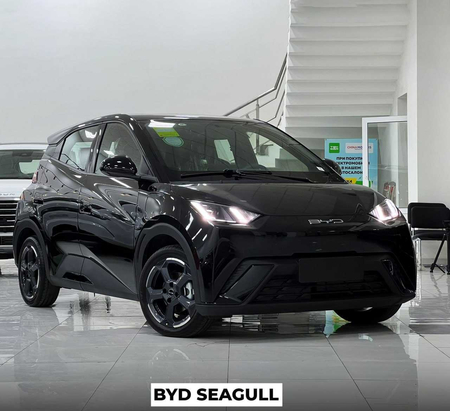Byd Seagull Full