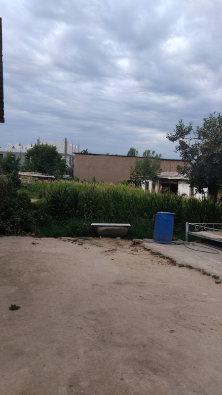 Avliyo ota Maxallasi