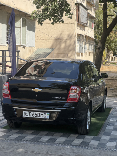 Cobalt 4 paditsa 2023 yil top toza