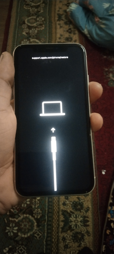 iPhone 11 hamnarsi radnoy