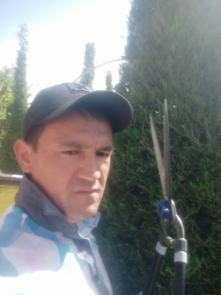 Archa kesish ishlari gazon ekish lanshaftni dizayin ishlarining bajari