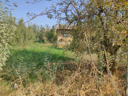 Yuqori Chirchiq janbul sentrda joylashgan