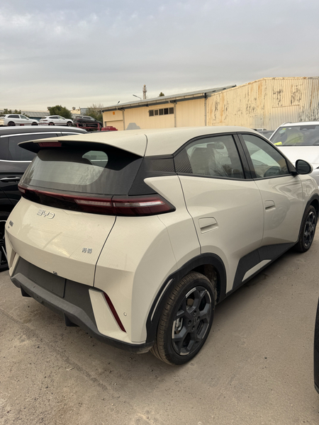 Byd seagull 2025