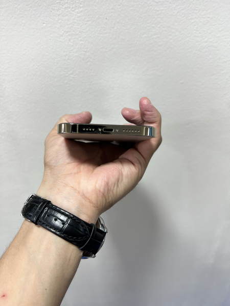 Srochna 13 pro max 256 gb