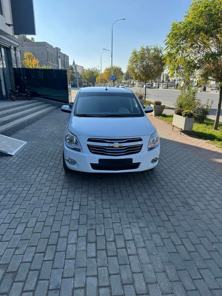 Vikubga berladi Boshdan 2.500 bolsa