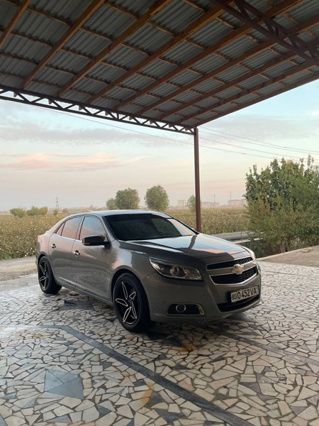 Malibu 1 legenda