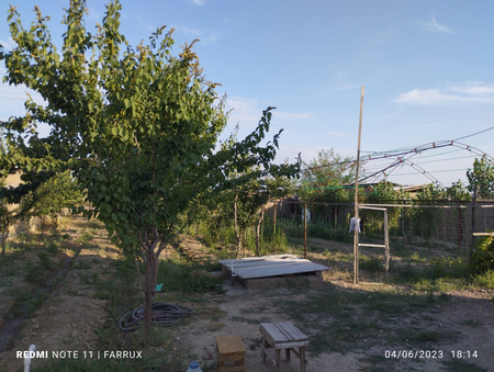 Hovli Uy sotiladi 6 sotix
