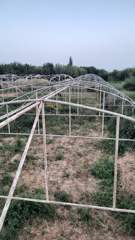 Parnik karkazi 10 sotix