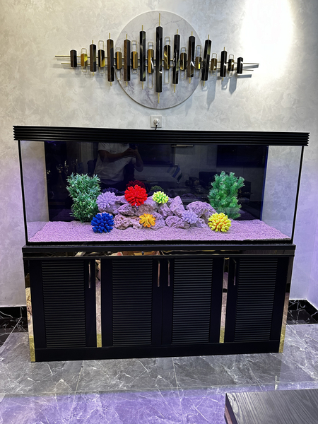 Akvarium yuqori sifatli Aquashop